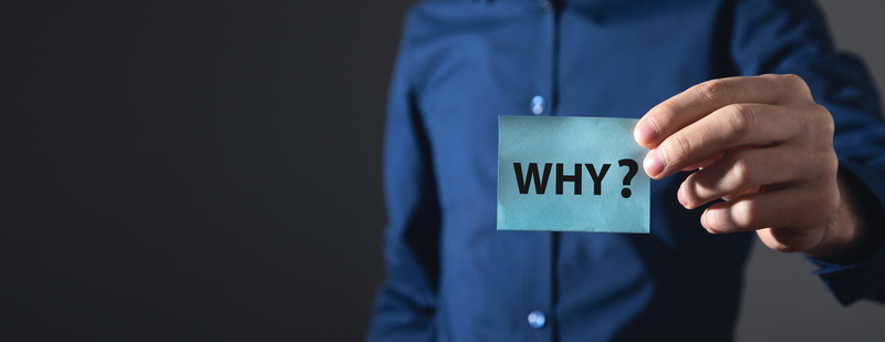 Why Should We Hire You? Resume and Interview Techniques